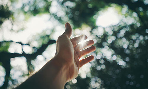 Reconnecting With Reality By Four Scents Botanical